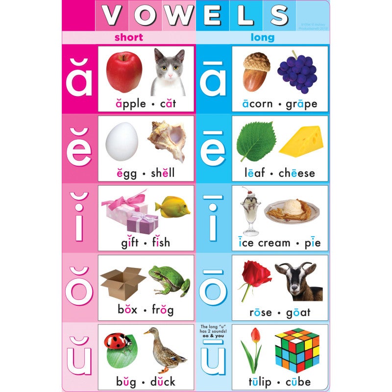 Long & Short Vowels Smart Poly Chart ASH91094 | The Teacher's Toolbox ...